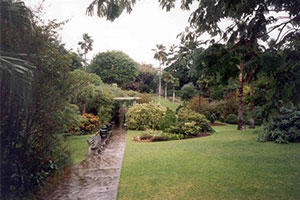 Bermuda Botanical Gardens Bermuda