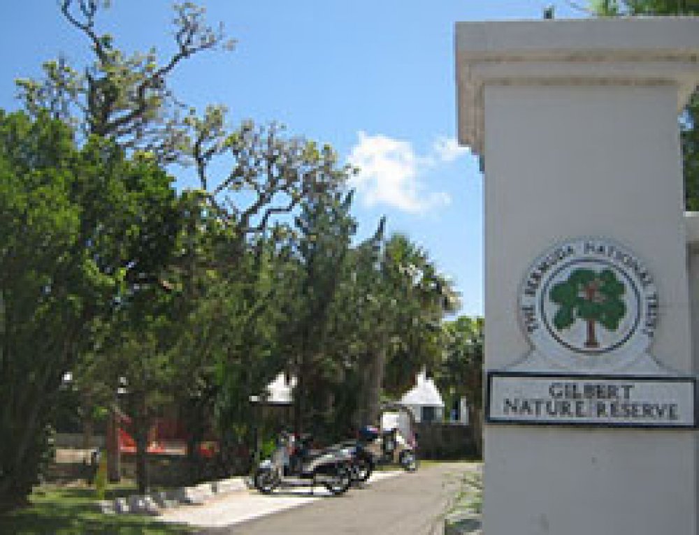 Admiralty House Park: Your Bermuda Adventure Awaits | Bermuda.com