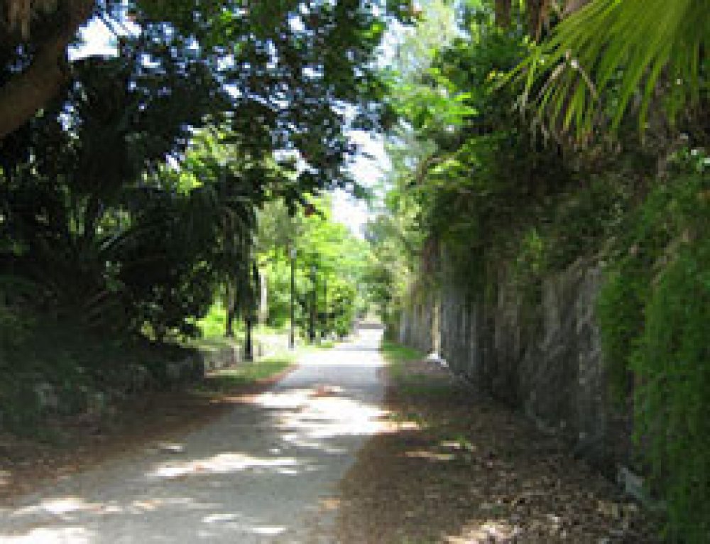 Cooper's Island Nature Reserve Bermuda Bermuda.com