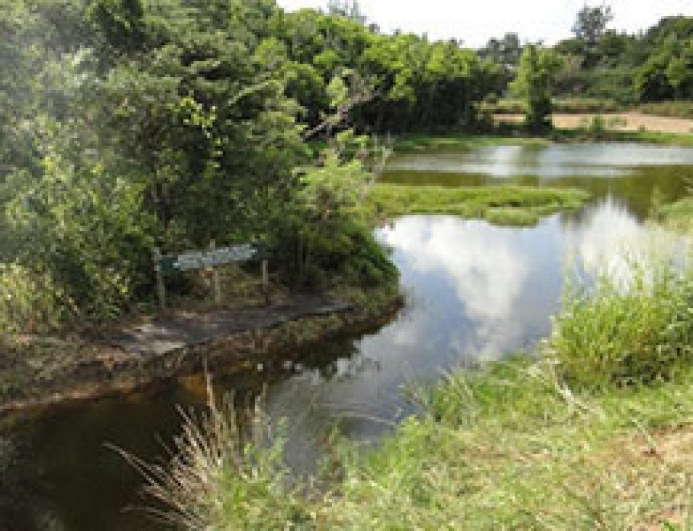 Cooper's Island Nature Reserve Bermuda Bermuda.com