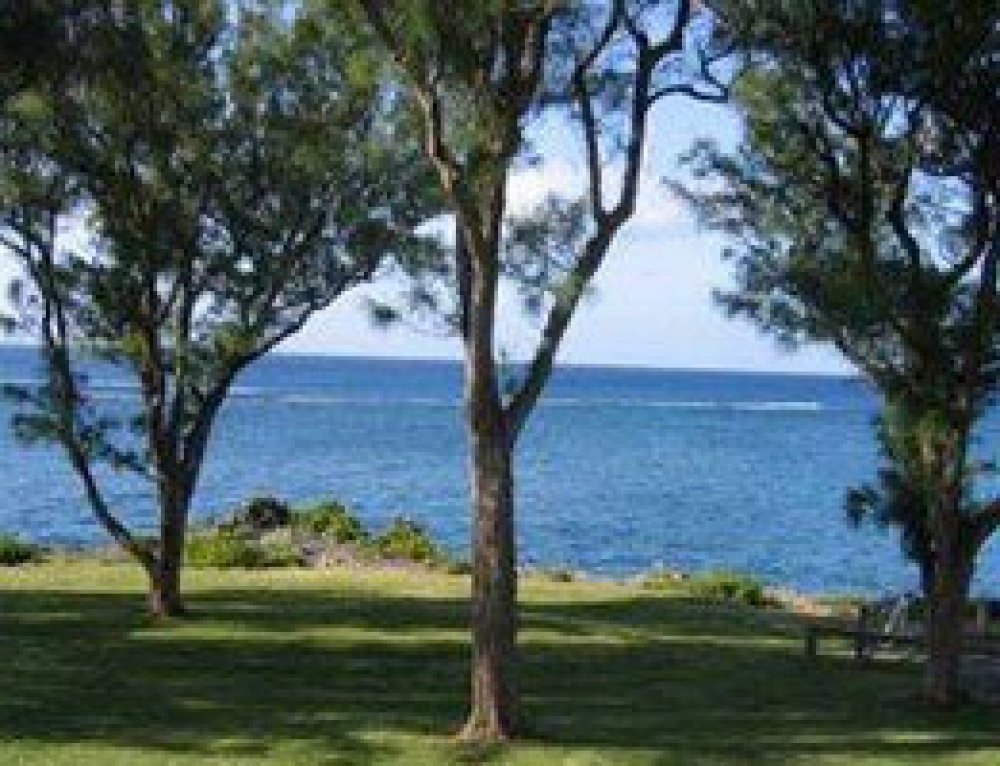 Cooper's Island Nature Reserve Bermuda Bermuda