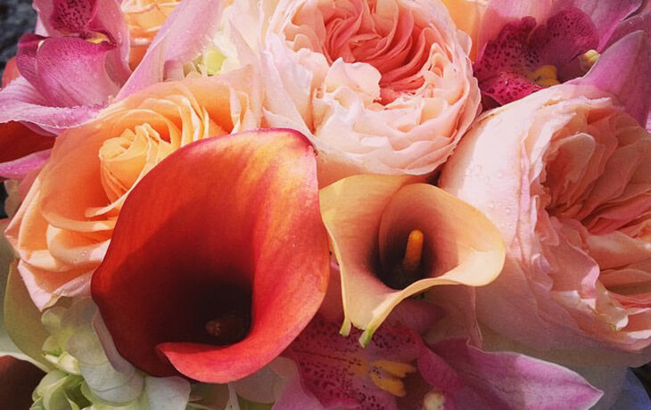 Flowers By GiMi | Bermuda.com