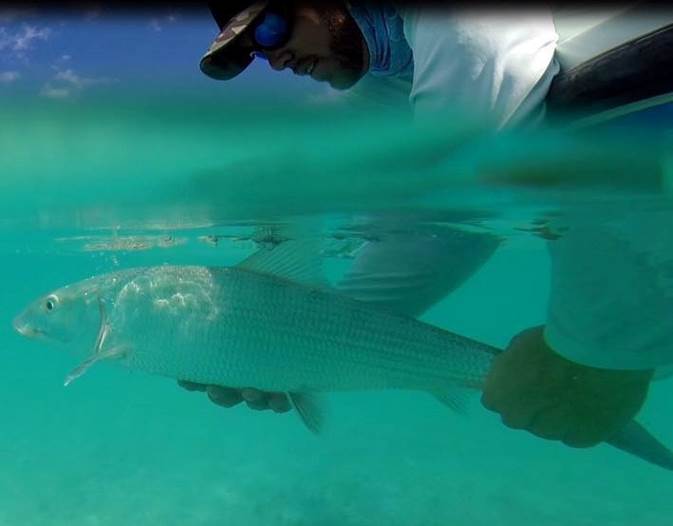 Top Fishing Destination in Bermuda | Bermuda Fishing