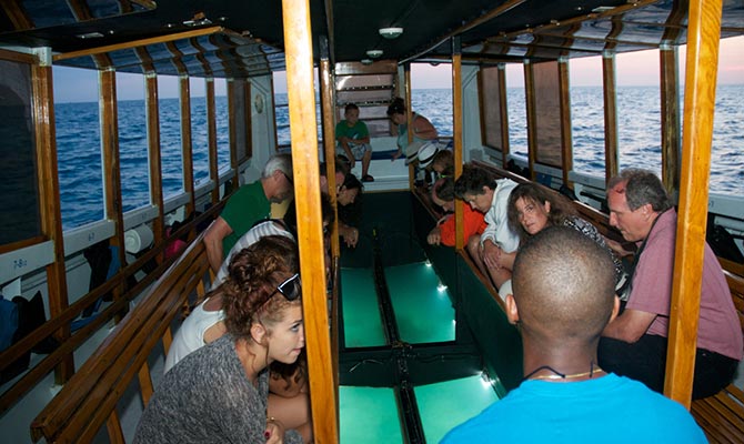 Bermuda Sightseeing & Glass Bottom | Bermuda.com