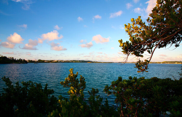 Bermuda Terrace | Bermuda.com