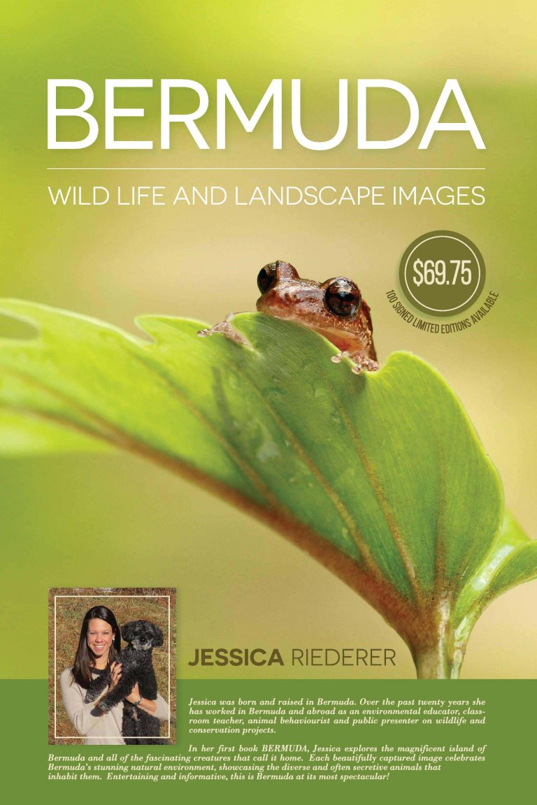 Bermuda Book Gift Guide, The Bookmart at Brown& Co