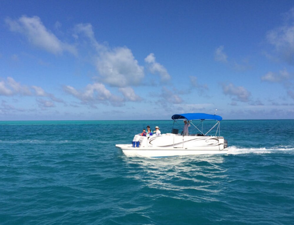 Jump dem Bones Bermuda's Premier Fly Fishing, Bonefish, Hogfish