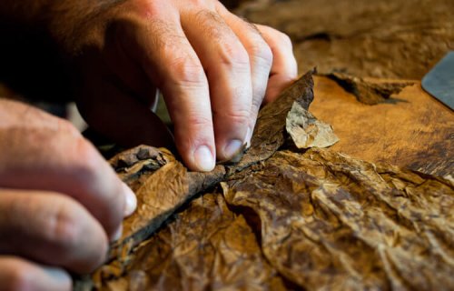 Meet the Artists at The Bermuda Craft Market Bermuda.com