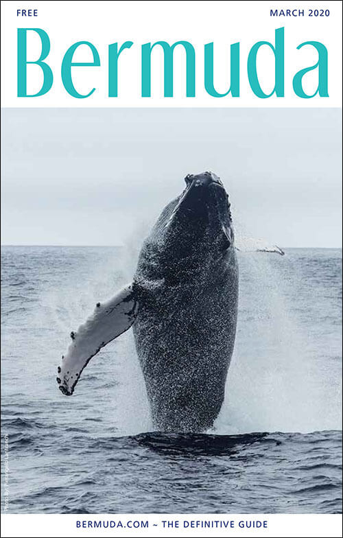 Contact Us At Bermuda.com Offices