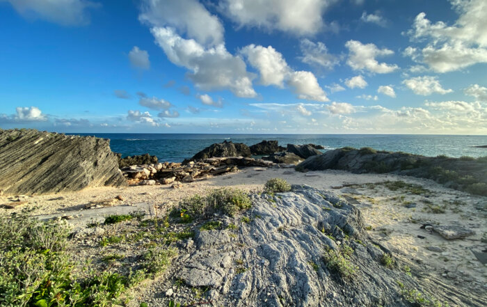 Best Things to do in Bermud | Attractions, Activities, Events