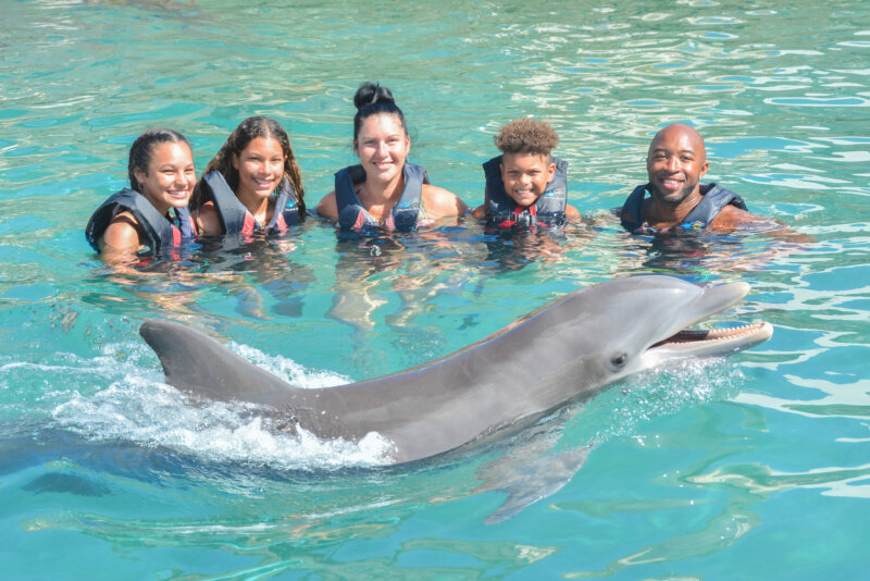 Dolphin Quest Bermuda | A Top Attraction in Bermuda