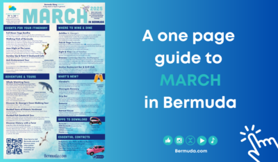 Bermuda.com | Bermuda Tourism & Travel